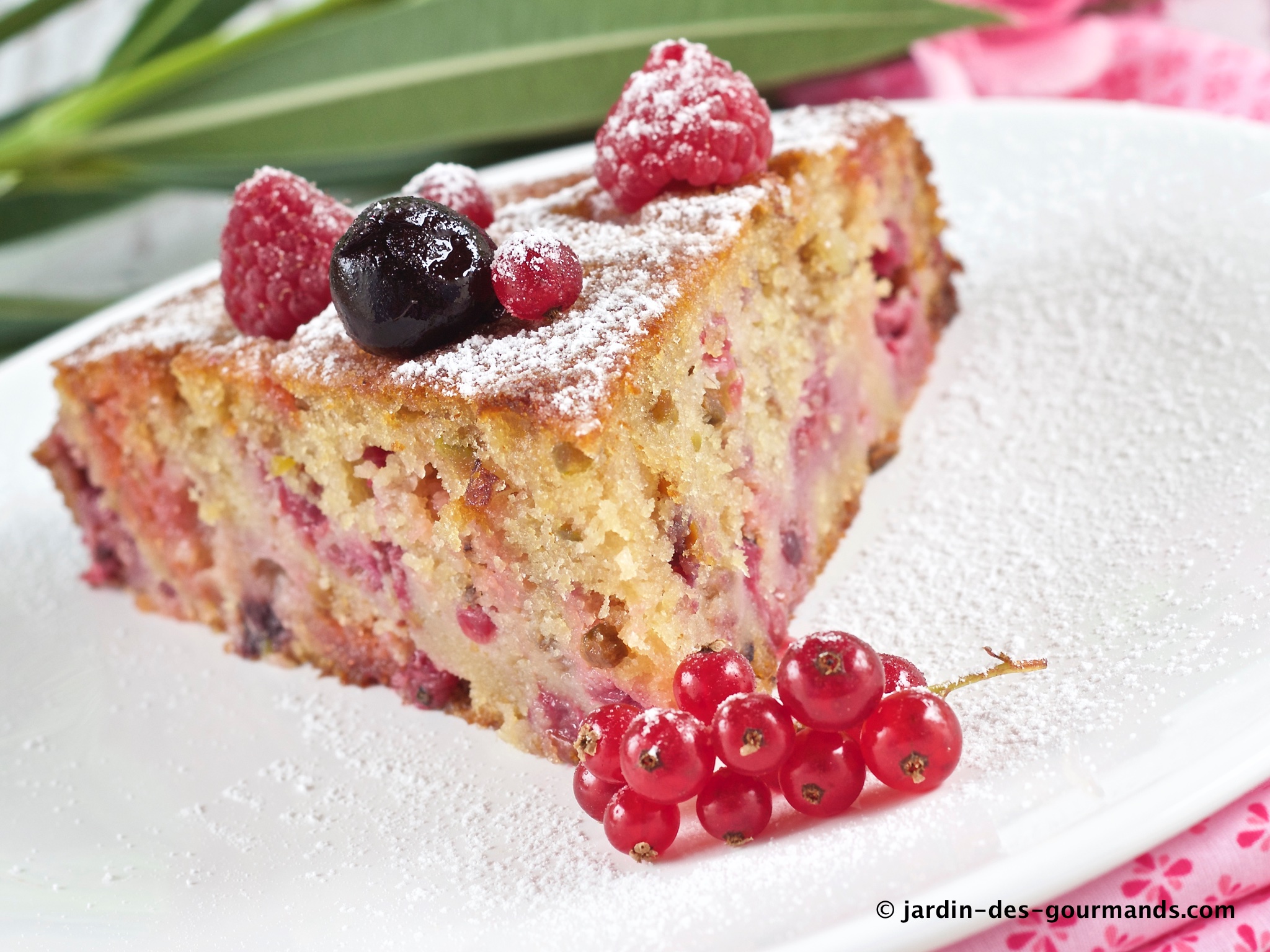 L'IRRESISTIBLE aux fruits rouges - Jardin des gourmands