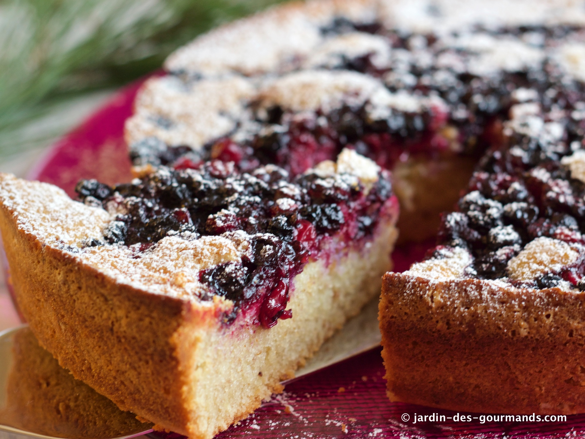 Financier géant aux fruits rouges - Jardin des gourmands