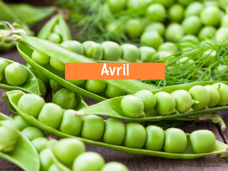 Page accueil - Jardin des gourmands