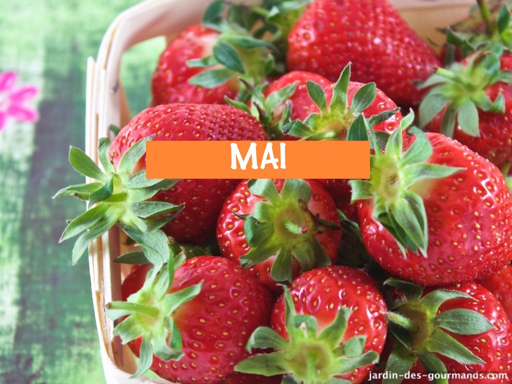 Page accueil - Jardin des gourmands