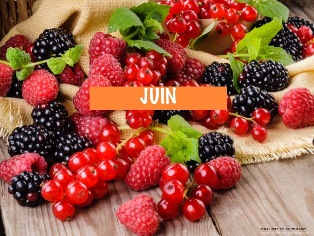 Page accueil - Jardin des gourmands