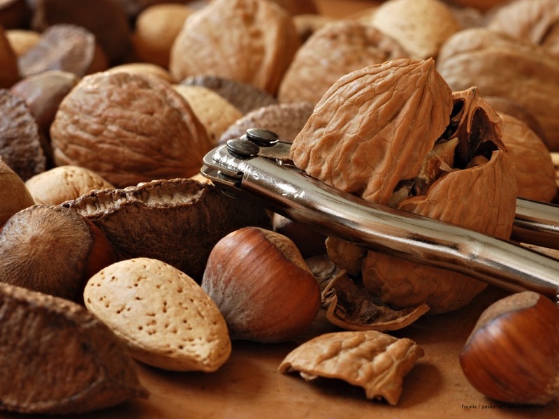 Page accueil - Jardin des gourmandsJardin des gourmands | …Cultivons la ...