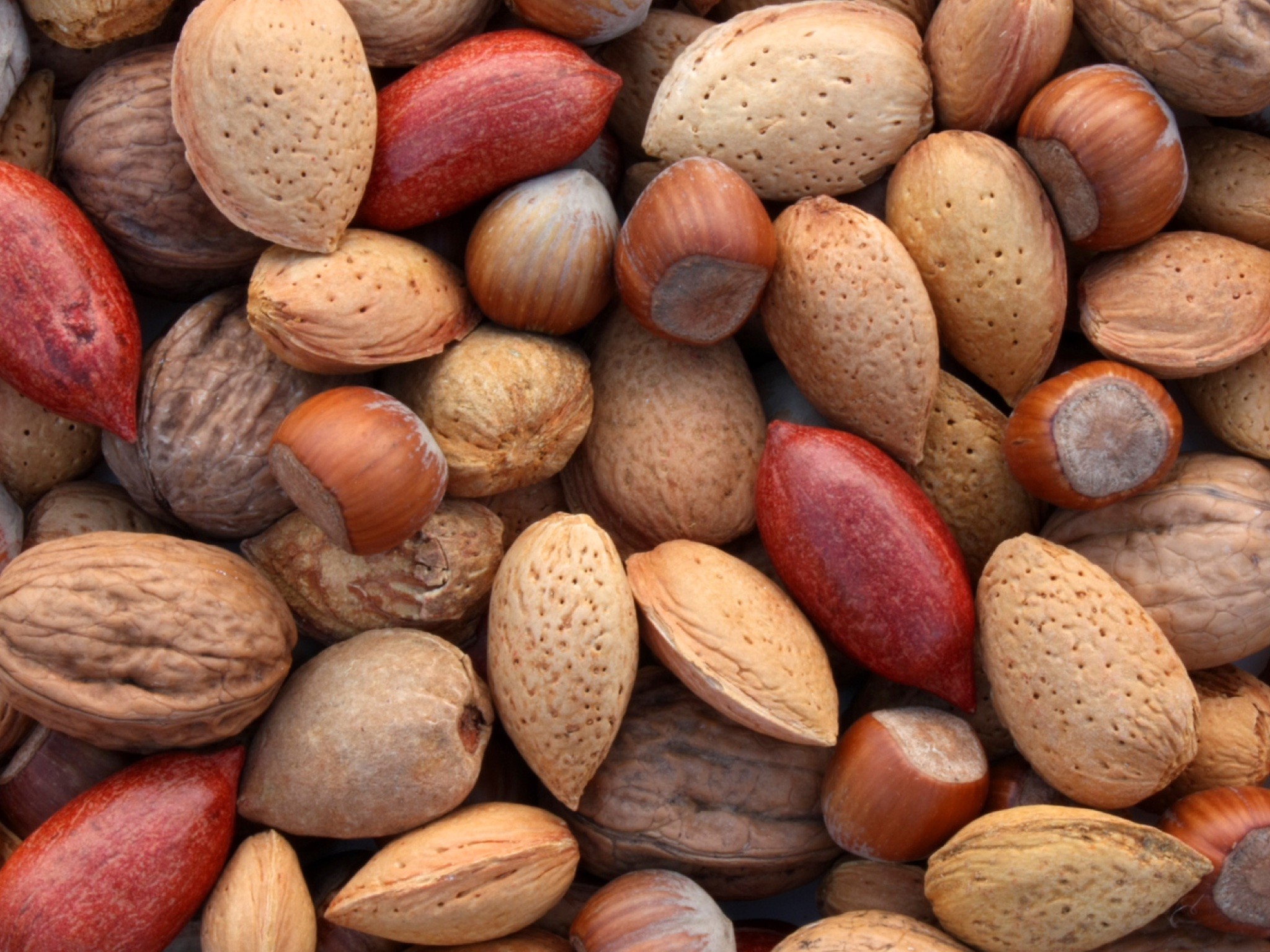 Page accueil - Jardin des gourmandsJardin des gourmands | …Cultivons la ...